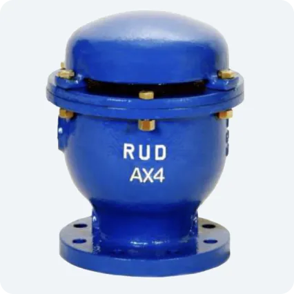 Válvula de admisión y expulsión de aire RUD